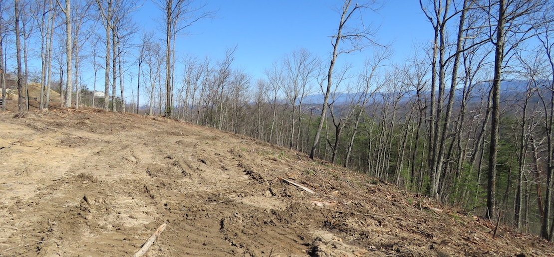 Photos - The Summit On Bluff Mountain